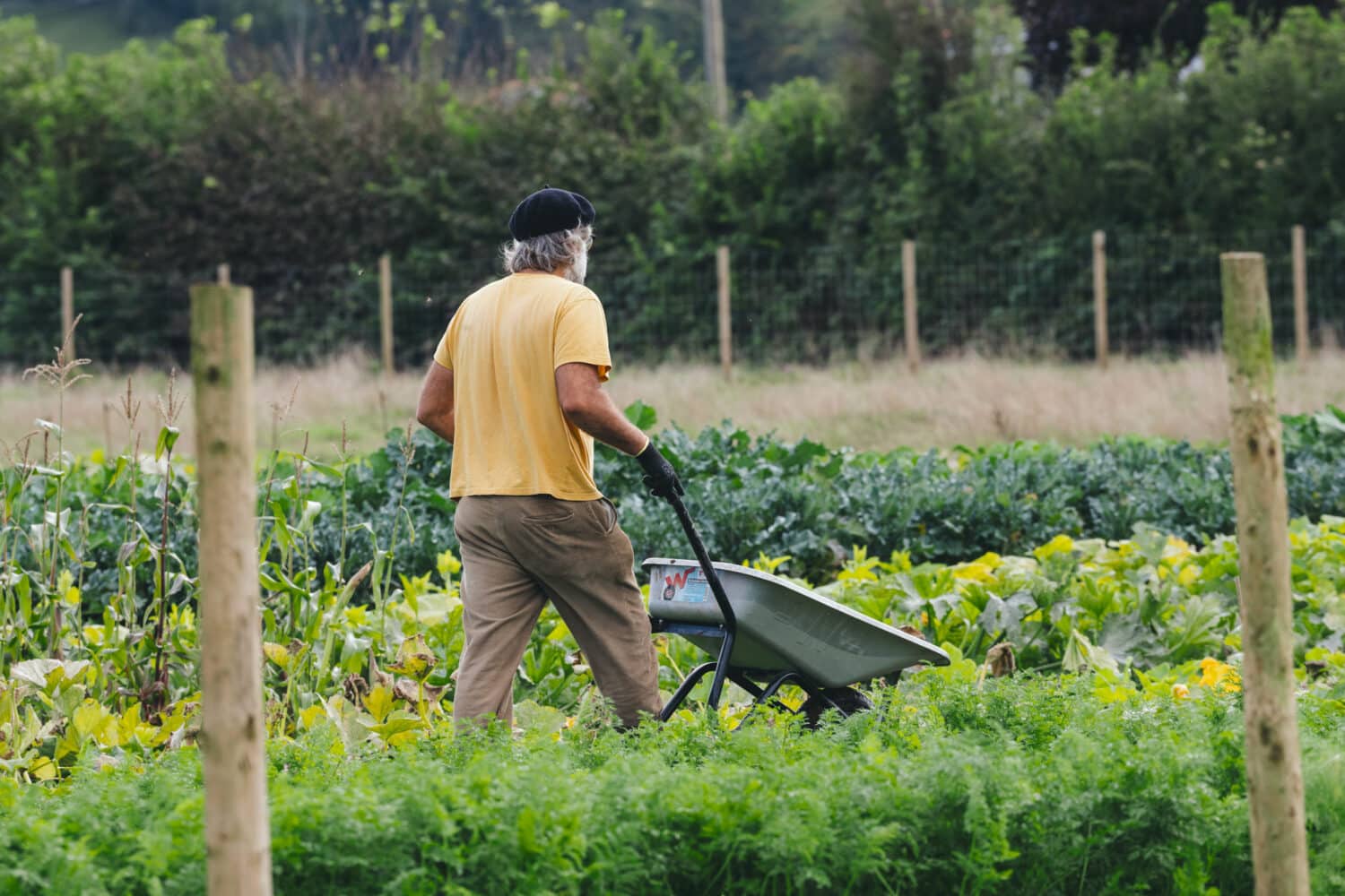 Bwyd Sir Gâr Food | Local Food Partnership | Carmarthenshire